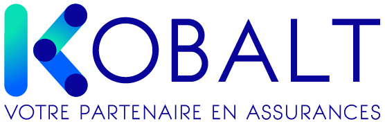 Logo rouge et bleu de l'entreprise RCDPRO
